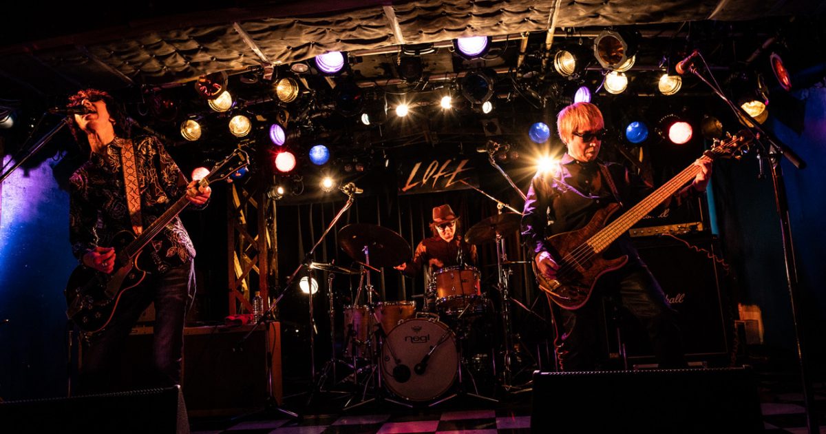 THE GROOVERS、初ライブからジャスト30年の日にワンマン開催 | Musicman