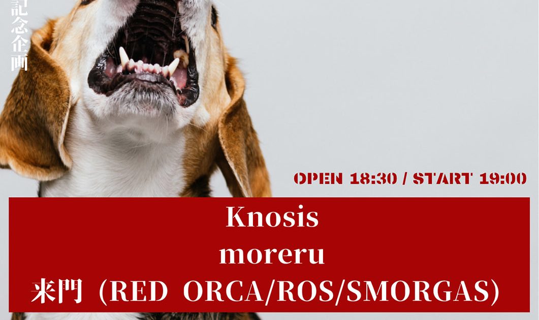 Knosis×moreru×来門 (RED ORCA/ROS/SMORGAS)の3マンライブ、新宿LOFT歌舞伎町移転25周年記念企画として開催決定 | Musicman