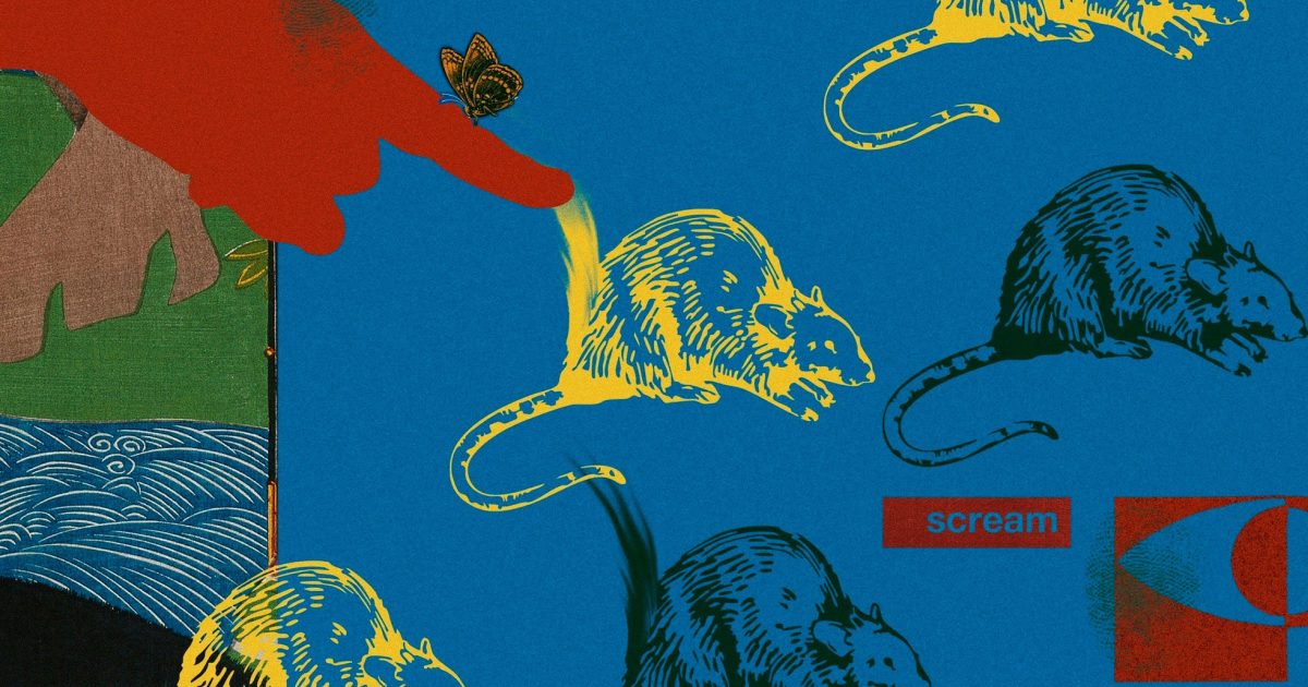 サカキナオ、MONJOEプロデュース第2弾デジタルシングル「scream」配信決定！ | Musicman